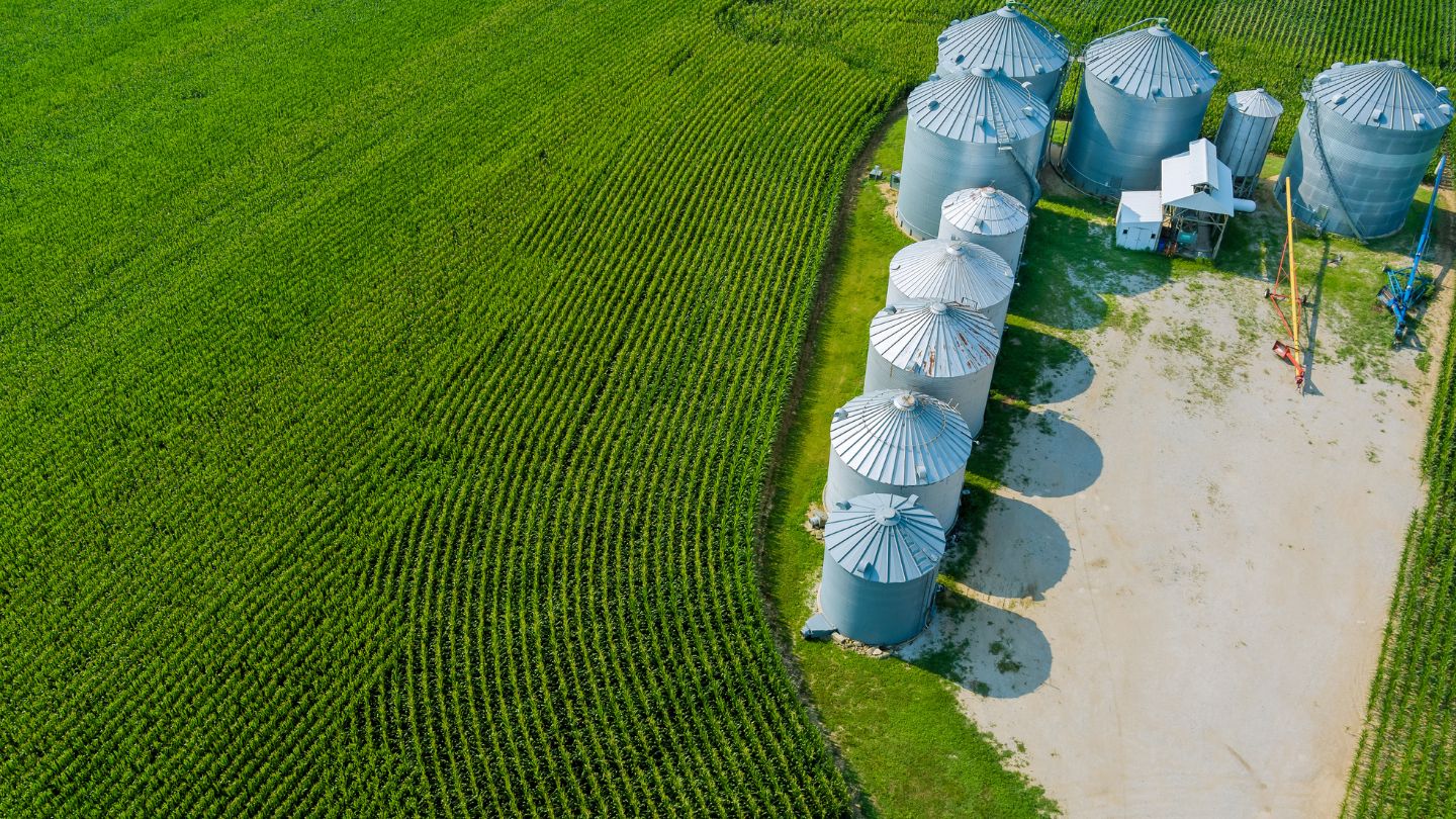 Agronegócio: a importância do segmento para economia